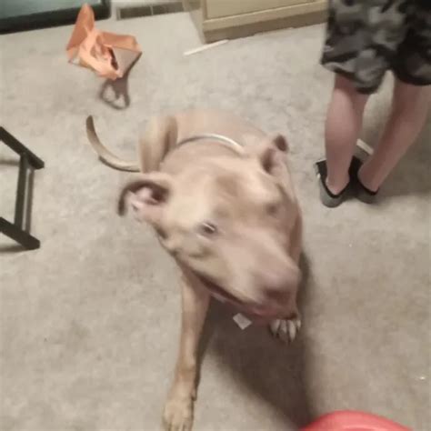 Creator Profile Of Daddy Mommy Uwu Create Your Own Ai Characters Talkie Ai