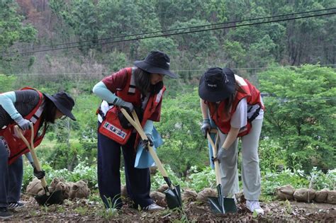 삼일pwc 사회공헌 나눔 봉사활동 안동산불피해지원 삼일pwc Pwc Korea