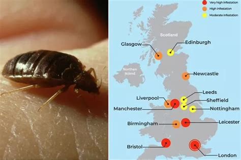 Mariah Carey Slammed Over Photoshopped Topless Pictures But Can You Spot Why Daily Star