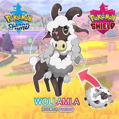 Wooloo Evolution Wollamla Rpokemonswordandshield