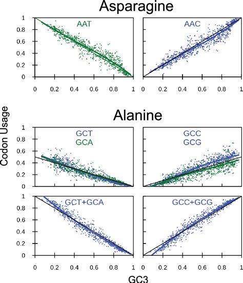 Figure 4 From A General Model Of Codon Bias Due To Gc Mutational Bias Semantic Scholar