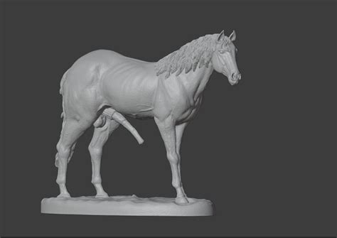 Rule 34 3d Artwork Anatomically Correct Anatomically Correct