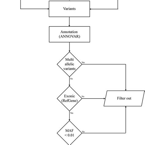 Flowchart With A Summary Of Parameters Used For Variants Selection And Download Scientific