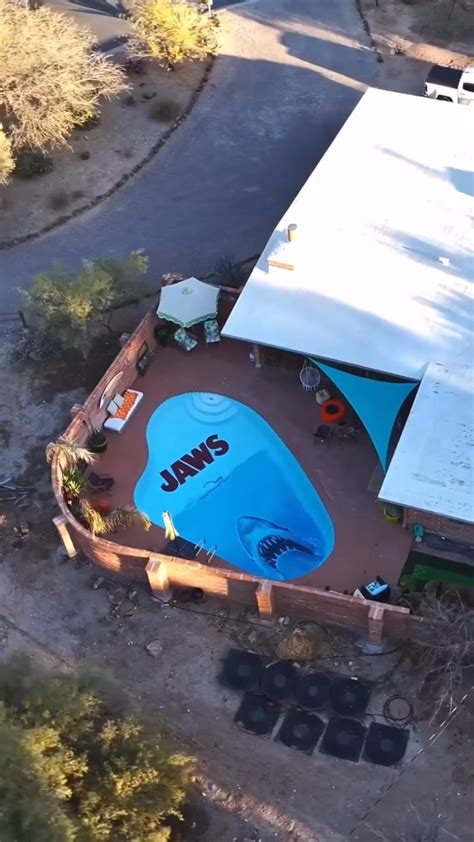 Thank You Jason Thirty1 On Ig For Sharing This Jaws Ome Video Of Your