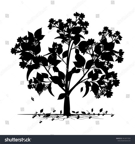 Tree Roots Silhouette On White Background Stock Vector Royalty Free Shutterstock