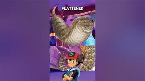 The Tsuchinoko Connection Youtube