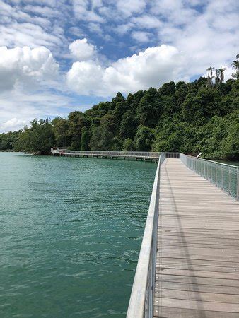 Chek Jawa Pulau Ubin Updated 2020 All You Need To Know Before You Go With Photos