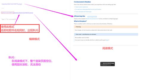 The Picture Cannot Be Displayed Properly Bug Graveyard Obsidian Forum