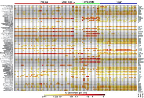 Figure S11 Metagenome Fragment Recruitment Of 82 Marine Cultures Download Scientific Diagram