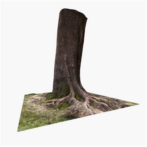 Tree Trunk Free 3d Model 3ds C4d Fbx Free3d
