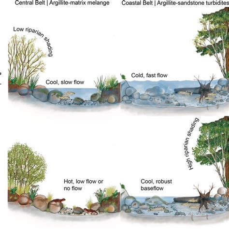 typical progression of stream conditions between the central belt