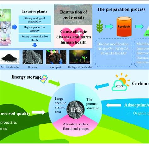 Preparation Modification Characteristic And Use Of Biochar From Download Scientific Diagram