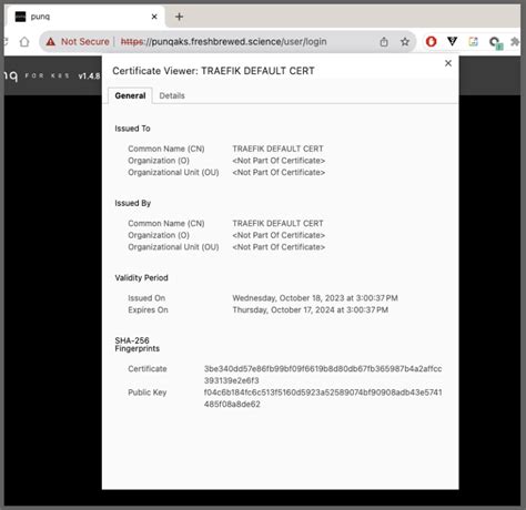 mogenius and punq developer portal and os kubernetes observability