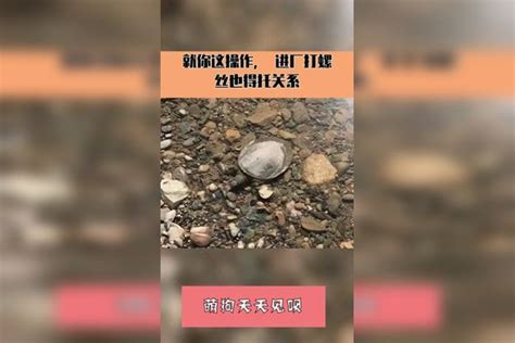 就你这操作，进厂打螺丝也得托关系进厂螺丝操作