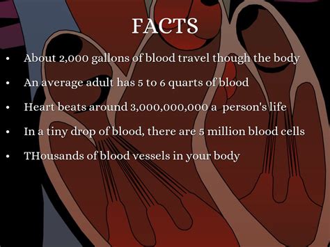 Interesting Circulation