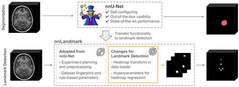 [논문 리뷰] nnlandmark a self configuring method for 3d medical landmark