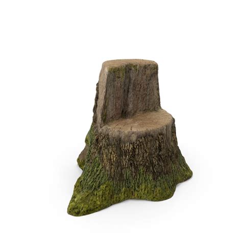 Tree Trunk PNG Images PSDs For Download PixelSquid S