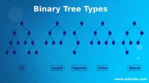 Binary Tree Types Complete Guide On Types Of Binary Tree