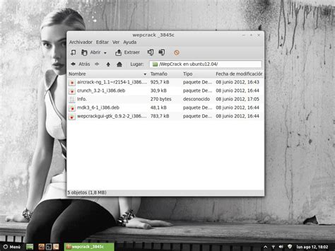 Linux Mint 13에 Wepcrack을 설치하는 방법에 대한 자습서