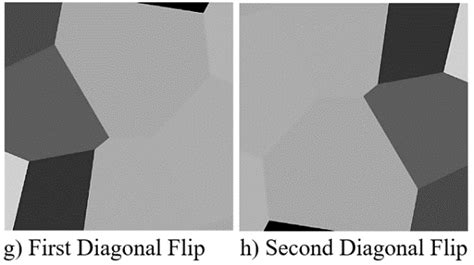 Similarity Transformations Adopted During The Data Augmentation Step Download Scientific Diagram
