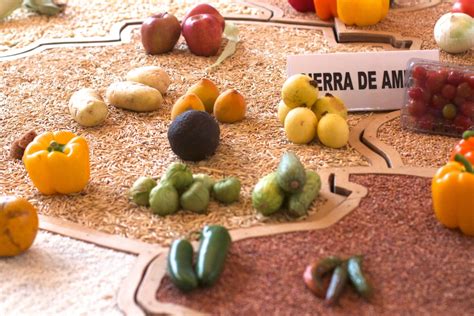 무료 이미지 과일 요리 식품 생기게 하다 야채 꽃 피는 식물 육상 식물 5184x3456 202808 무료 이미지 Pxhere