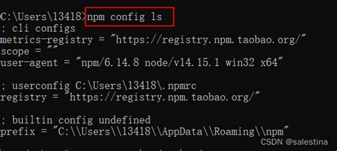 nodejs改变npm依赖包路径 npm 指定依赖路径 csdn博客