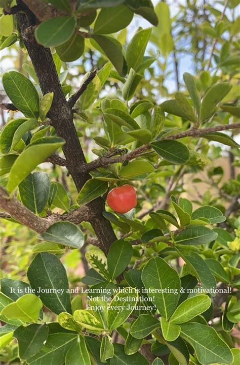 Vijaya Bhanu A On Linkedin Hello Everyone