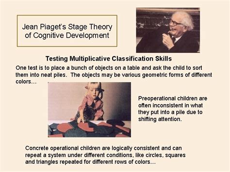 Jean Piagets Stage Theory Of Cognitive Development Basic