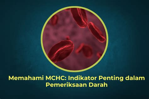 Mengenal Eritropoiesis Proses Vital Pembentukan Sel Darah Merah