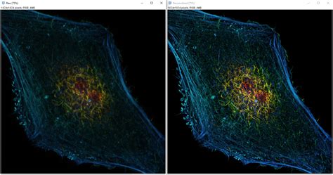clij deconvolution regularization fiji crash usage and issues