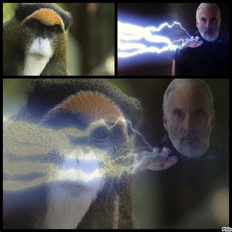 Create Meme Count Dooku Star Wars Memes Count Dooku  Count Dooku Is Sleeping Pictures