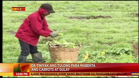 DA tiniyak ang tulong para mabenta ang carrots at iba pang gulay ng mga ...