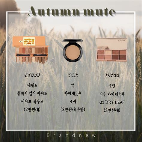 대구퍼스널컬러 가을웜 가을뮤트가을다크 섀도우 추천 네이버 블로그