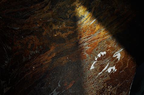 Forest Structure On Behance