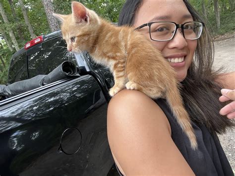 Never Seen A Kitty Do This Before😂 Oc R Aww