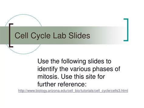 PPT Cell Cycle Lab Slides PowerPoint Presentation Free Download ID