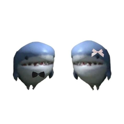 Sharks Immagini Hello Kitty Hello Kitty Immagini