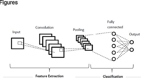 Figure 1 From Deep Convolutional Neural Network Algorithm For