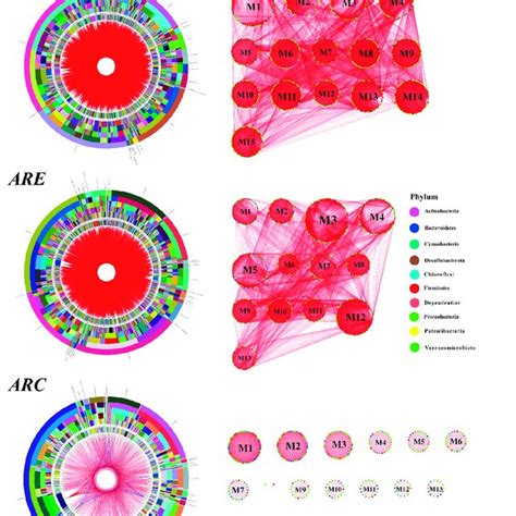 Microbial Co Occurrence Subnetworks And Their Modularity A The