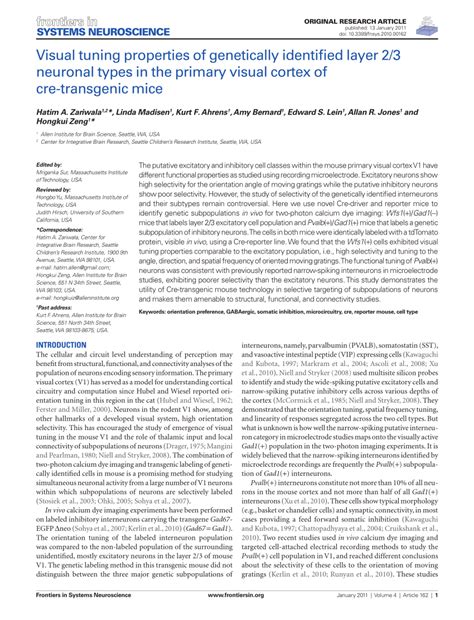 Pdf Visual Tuning Properties Of Genetically Identified Layer 23 Neuronal Types In The Primary