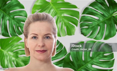 열대 잎에 완벽한 매끄러운 피부와 초상화 아름다운 여자 천연 화장품과 스킨케어의 컨셉 50 54세에 대한 스톡 사진 및 기타 이미지 50 54세 건강관리와 의술