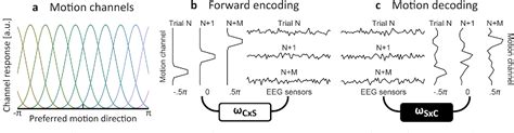 Figure 1 From Stimulus Reliability Automatically Biases Temporal