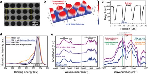 Uv Crosslinkable Parylene Dielectric Layer A Om Image Of 5 µm Scale Download Scientific