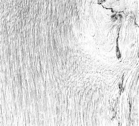 Abstract Texture Of A Aged Cracked Tree Trunk And Background Photo And