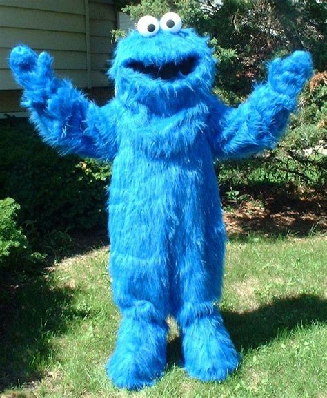 Adult Sesame Street Mascot Costumes