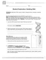 Building DNA Gizmo Lab Pdf Course Hero