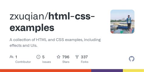 Html Css Examples Index Html At Master Zxuqian Html Css Examples GitHub