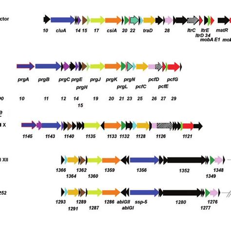 The Sex Factor Of L Lactis Shares Homology With Five Ancestrally