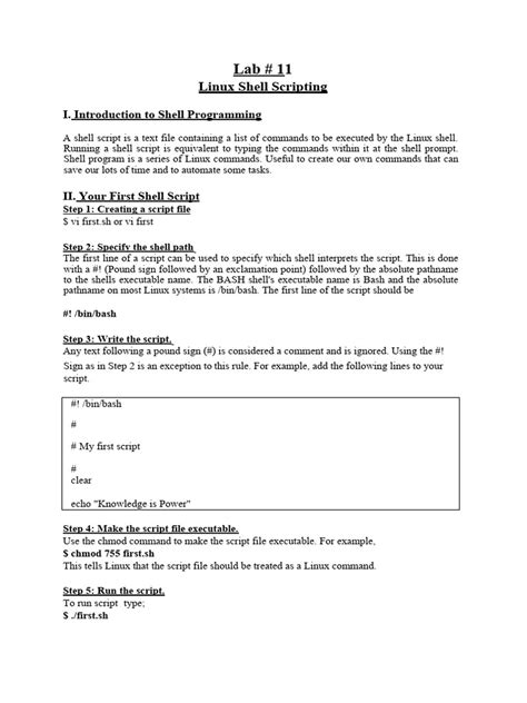 lab 11 pdf variable computer science scripting language