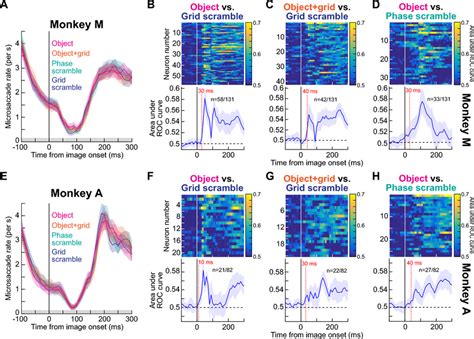 Discrimination Between Object And Non Object Stimuli By Sc Neurons Download Scientific Diagram